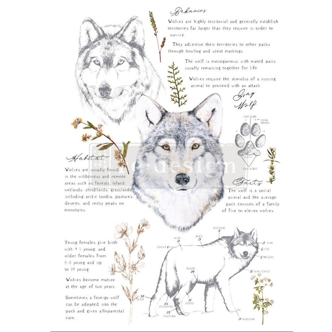 Gray Wolf Decor Transfer Redesign With Prima Large 24 X 35 - Etsy UK