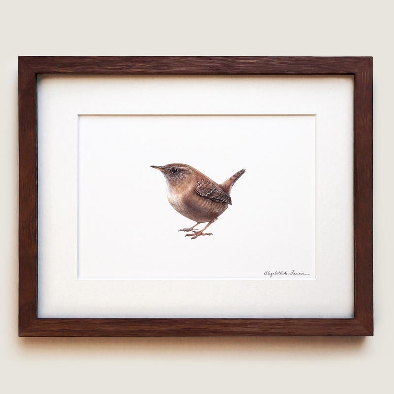 Wren Painting - Etsy