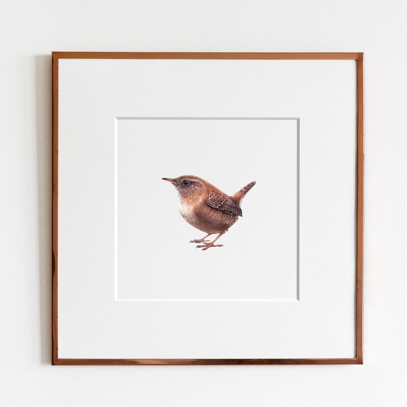Wren Art Print - Etsy