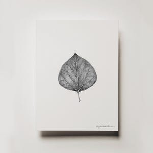 Quaking Aspen Leaf Art Print: Botanical Illustration, Solid Oak Frame ...