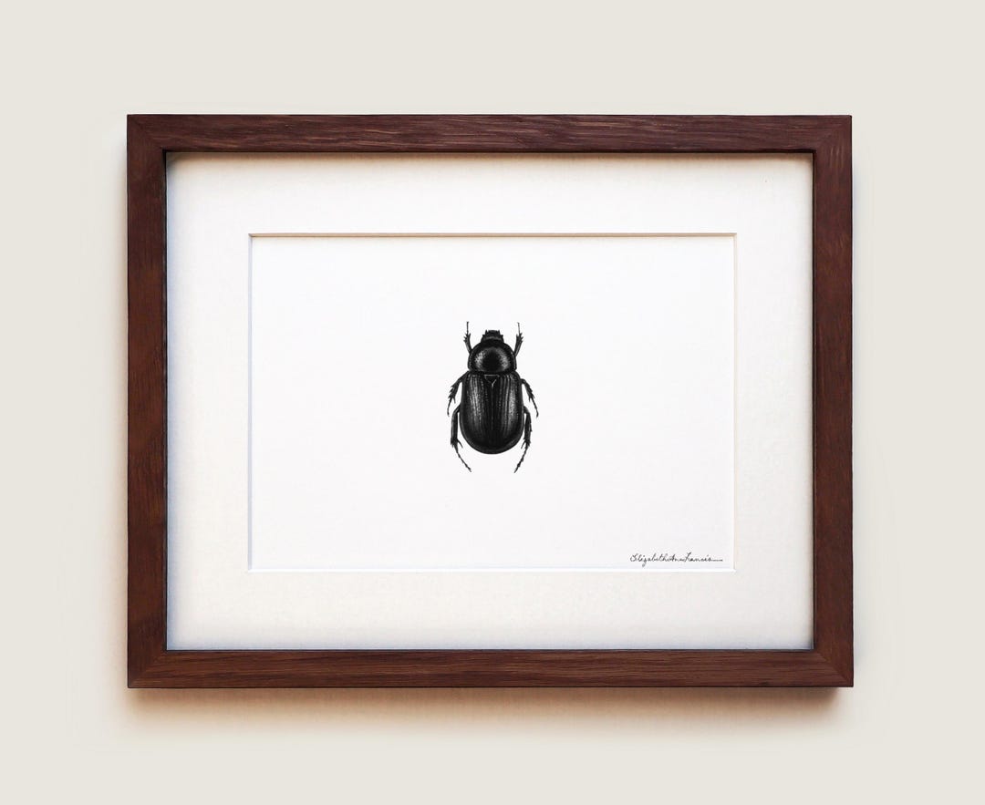 Tomarus Relictus Beetle Art Print: Solid Oak Frame - Etsy