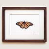 Life Cycle of a (blue Morpho) Butterfly Clip Art Set - Etsy