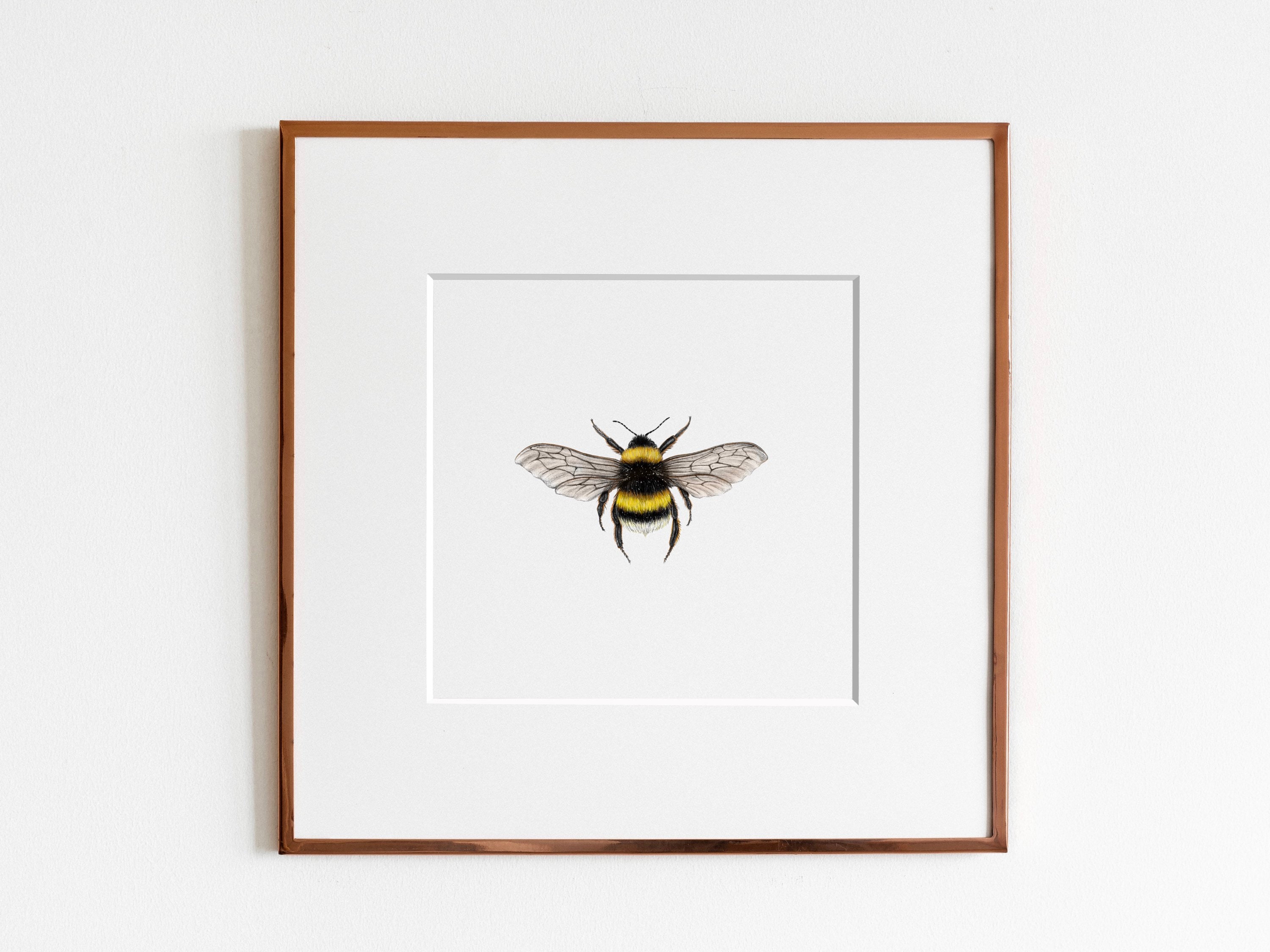 Bumblebee Art Print in Colour - Etsy