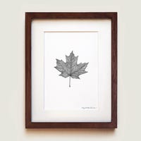Maple Tree - Etsy