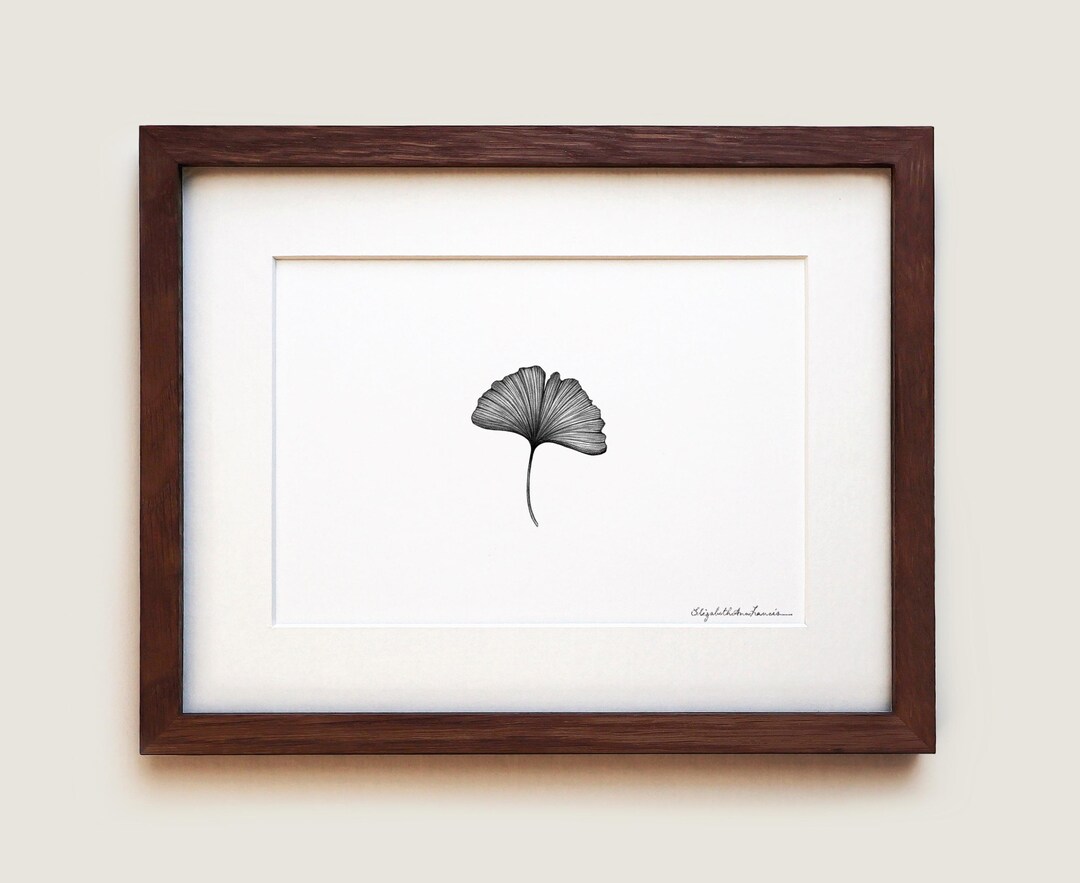 Ginkgo Leaf (ginkgo Biloba) Botanical Art Print | Maidenhair Leaf ...
