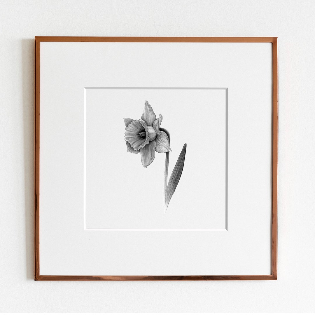 Daffodil Art Print - Etsy