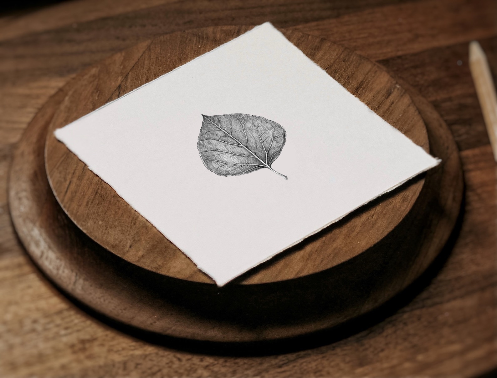Quaking Aspen Leaf Art Print: Botanical Illustration, Solid Oak Frame ...