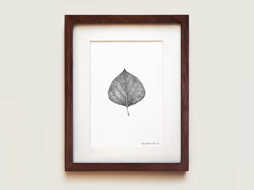 Quaking Aspen Leaf Art Print: Botanical Illustration, Solid Oak Frame ...