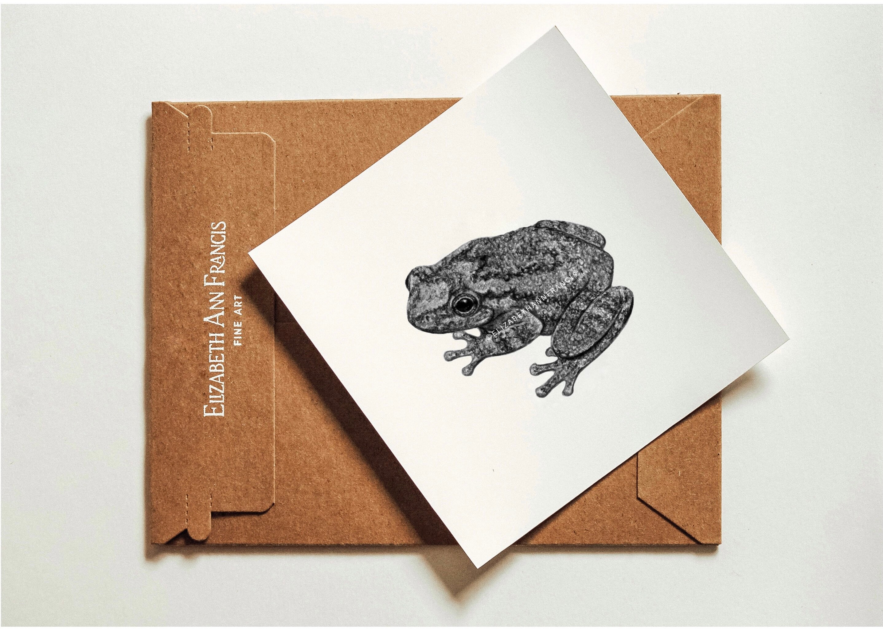 Gray Treefrog hyla Versicolor Art Print - Etsy