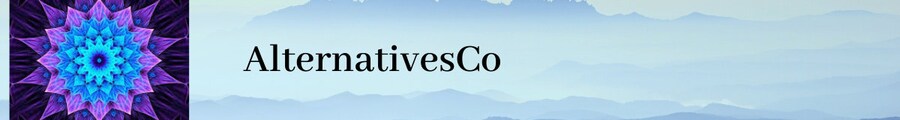 AlternativesCo - Etsy