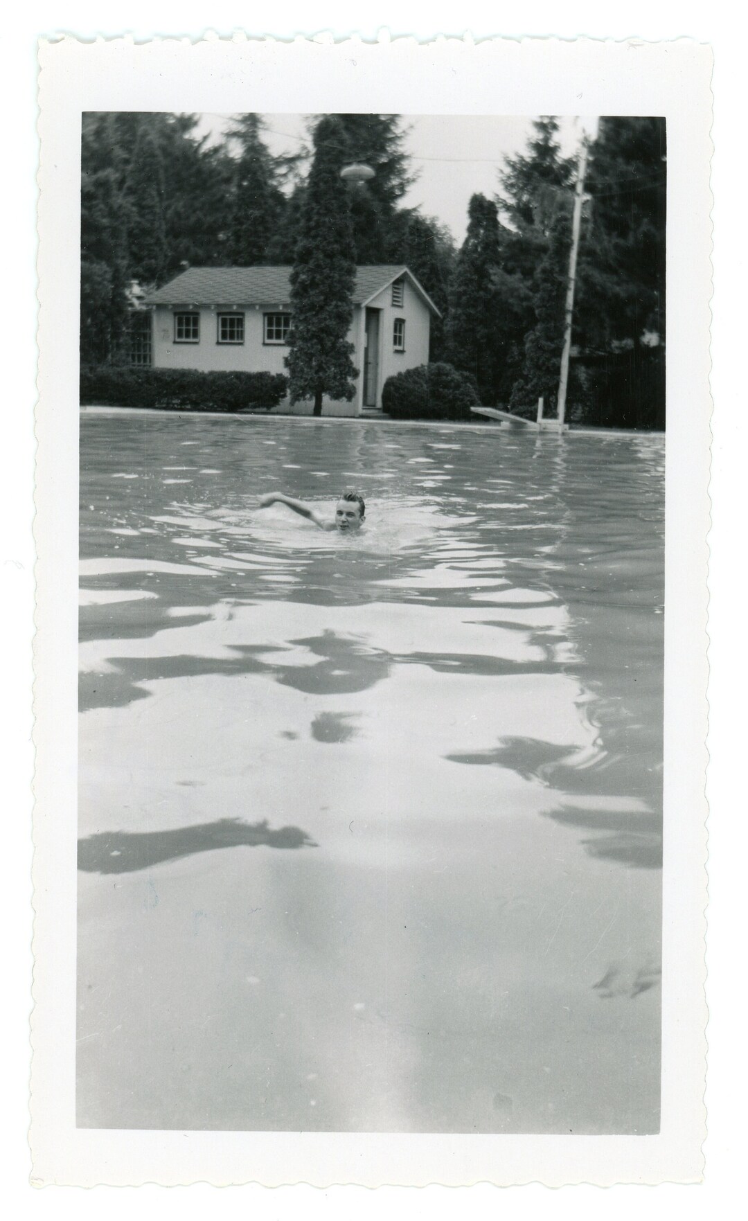 Vintage Snapshot Man Named Eddie Swimming in a Pool Candid Vintage ...