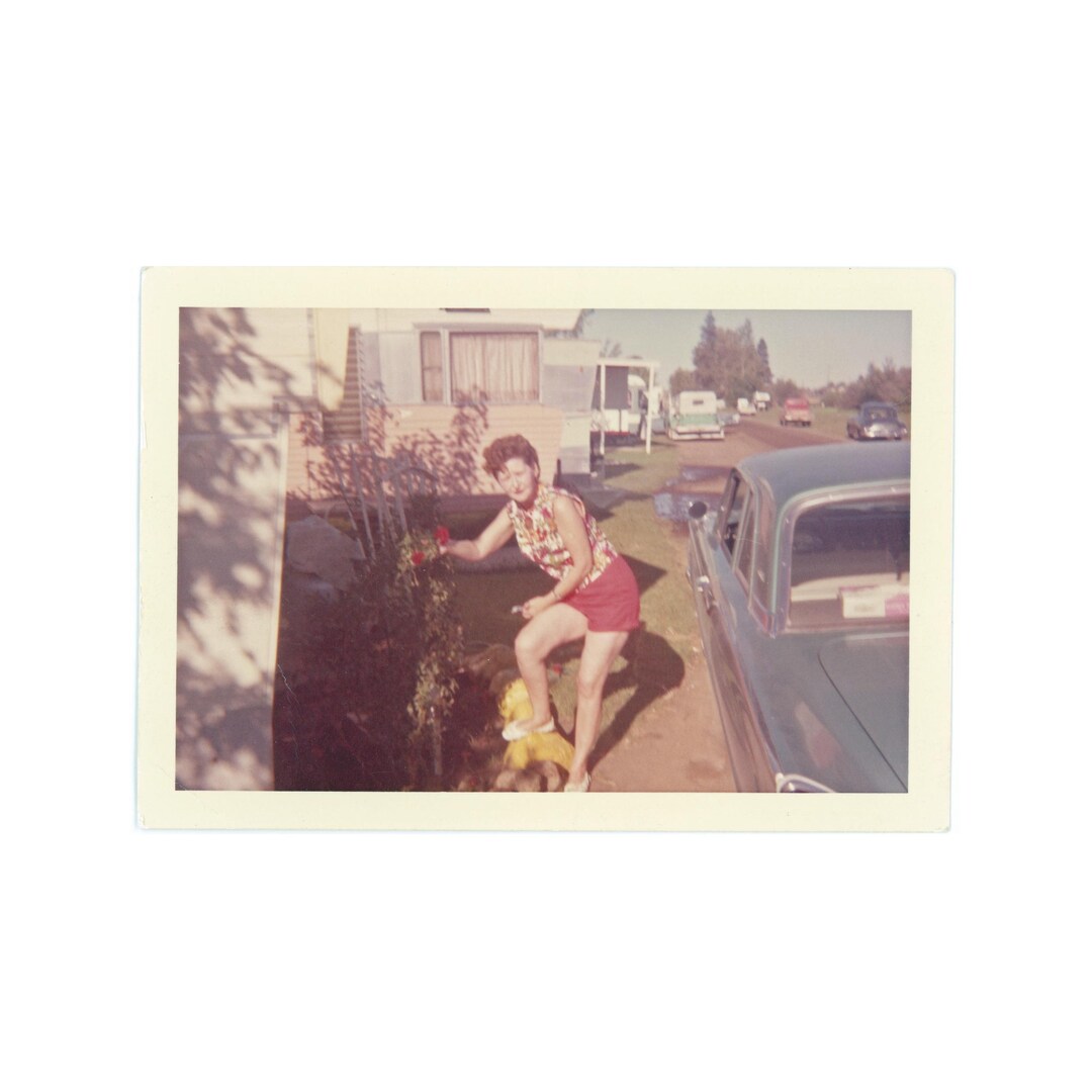 1960s 1970s Snapshot: Woman With Rose Bush in the Trailer Park, Vintage ...