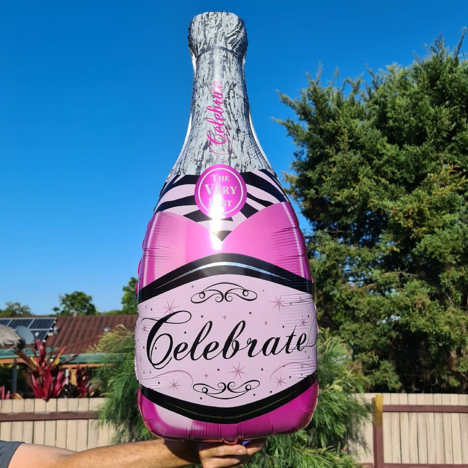 Champagne Glass & Bottle Balloons Birthday for Her - Etsy