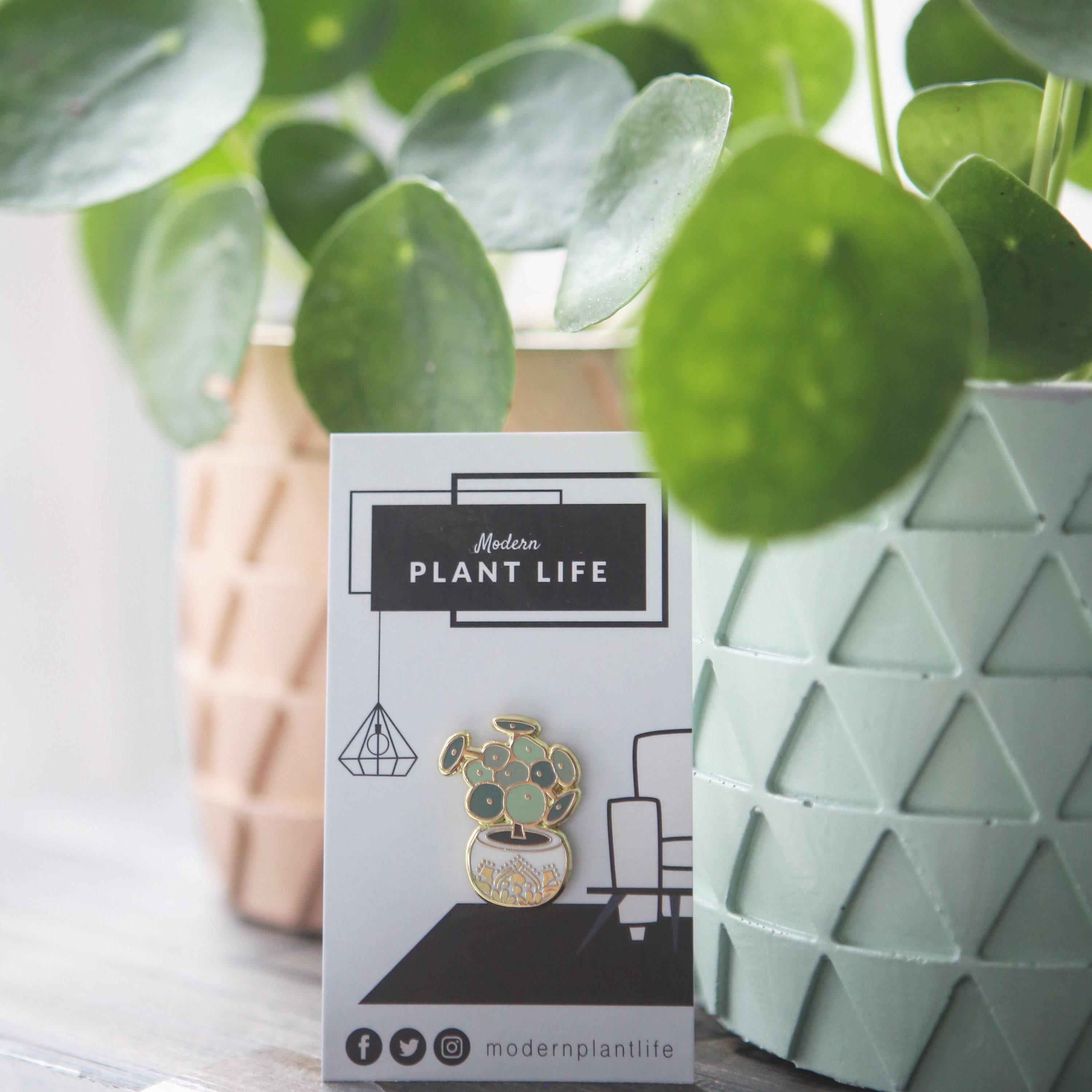 Plant Lapel Enamel Pins 1 Inch Tall Monstera Deliciosa | Etsy Canada