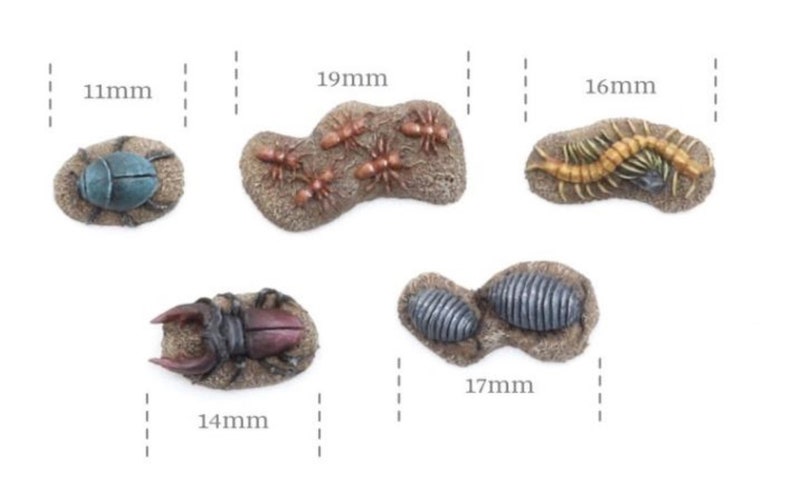 Giant Insects Set 1 10 Models Miniatures Figures RPG - Etsy