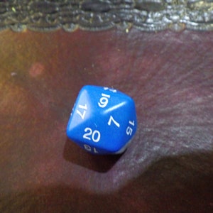24-sided Polyhedral D24 Die | Tabletop RPG Gaming Accessory | D&D Math ...