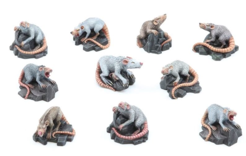Giant Rats Pack 10 Models Miniatures Figures RPG Tabletop - Etsy