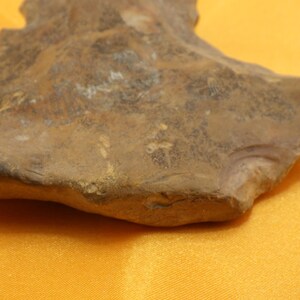 Stone Tool Artifact Hoe Scraper Axe Chopper 3.5x3.25x.5 Inches Worked ...