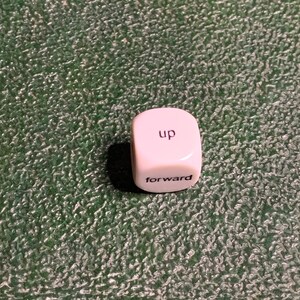 16mm D6 Random Direction Dice - White With Black - RPG Tool Tabletop ...
