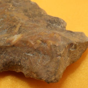 Stone Tool Artifact Hoe Scraper Axe Chopper 3.5x3.25x.5 Inches Worked ...