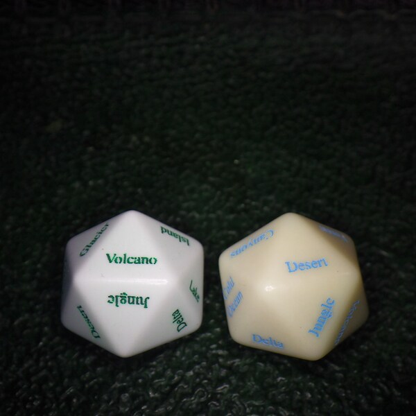 Custom D20 Dice - Etsy