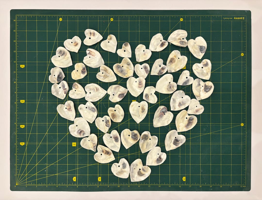 Drilled Heart Oyster Shells - Beach Wedding DIY Craft Supplies - Etsy
