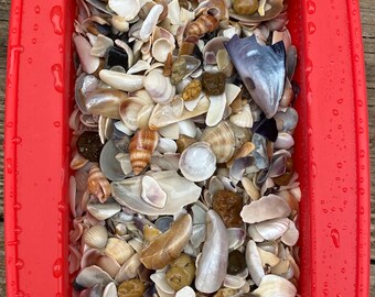 Sand of Sea Beach Sand Bulk Sand for Crafting Natural Sand for DIY 1 ...