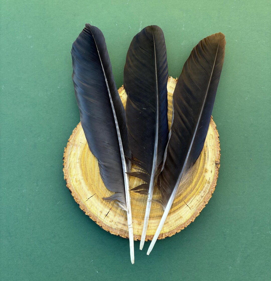 9-10 Inch Real Feathers of European Raven (corvus Corax) - Set of 3 ...