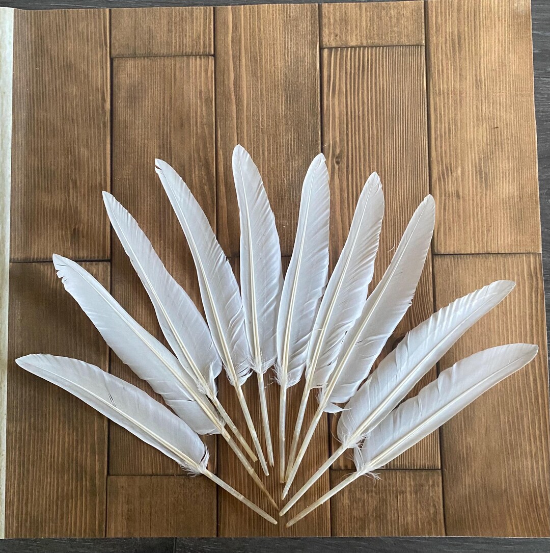 White Goose Feathers Set of 10 Large Natural Goose Feathers for ...
