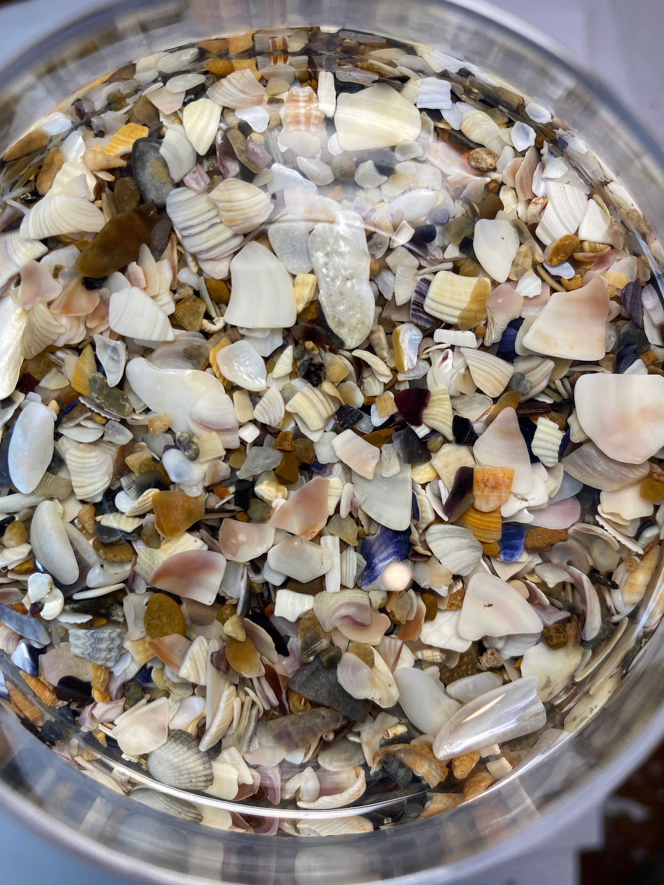 Sand of Sea Beach Sand With Shell Bulk Sand for Crafting Natural Sand ...