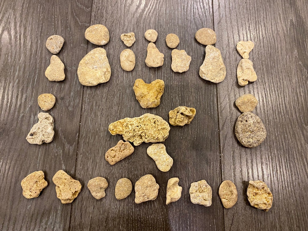 Unique Sea Stone Set of 37 Pcs Beach Stone Bulk Sea Stone for Crafting ...
