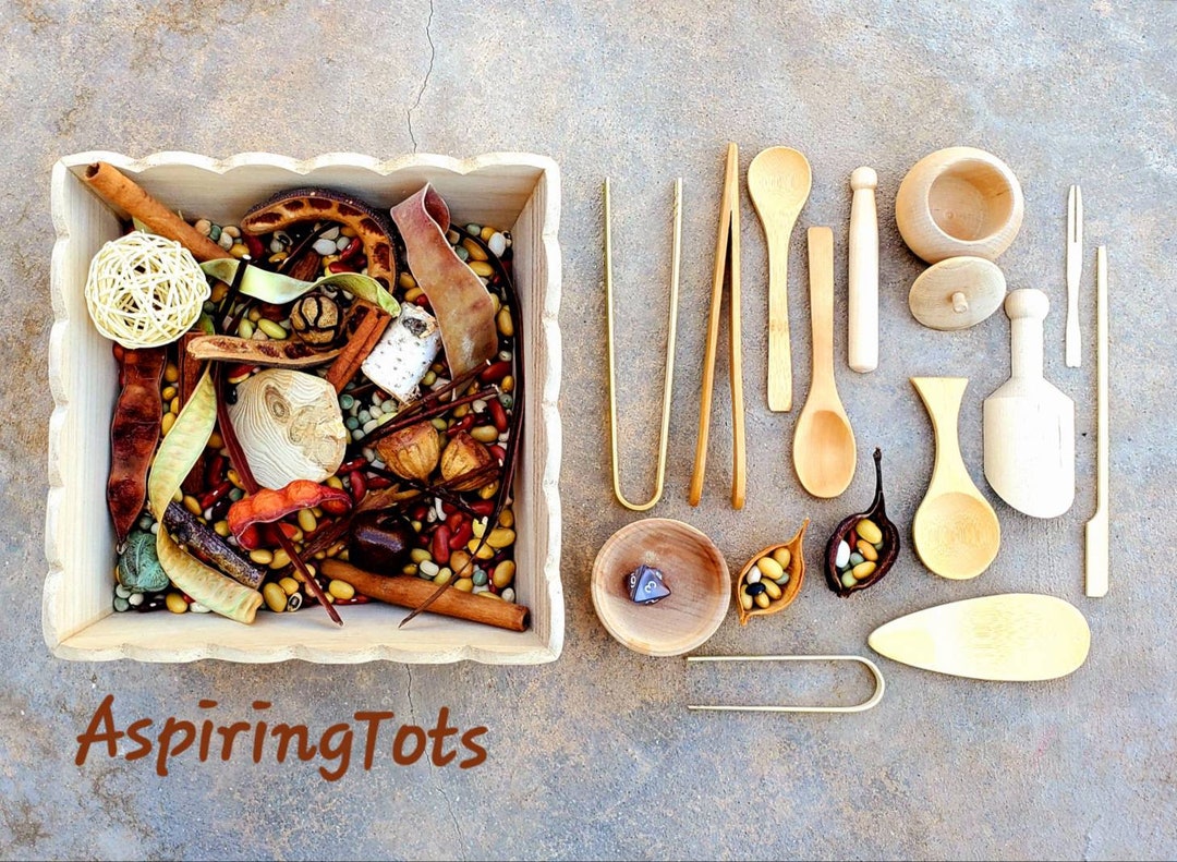 Deluxe Nature Sensory Bin Kit: Montessori Wooden Tools & Seedpods - Etsy