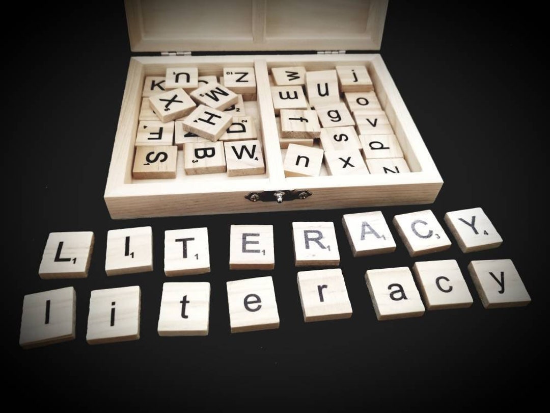 Montessori Early Literacy Wood Letter Sensory Box Matching Upper and ...