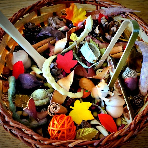 Autumn Nature Table - Etsy