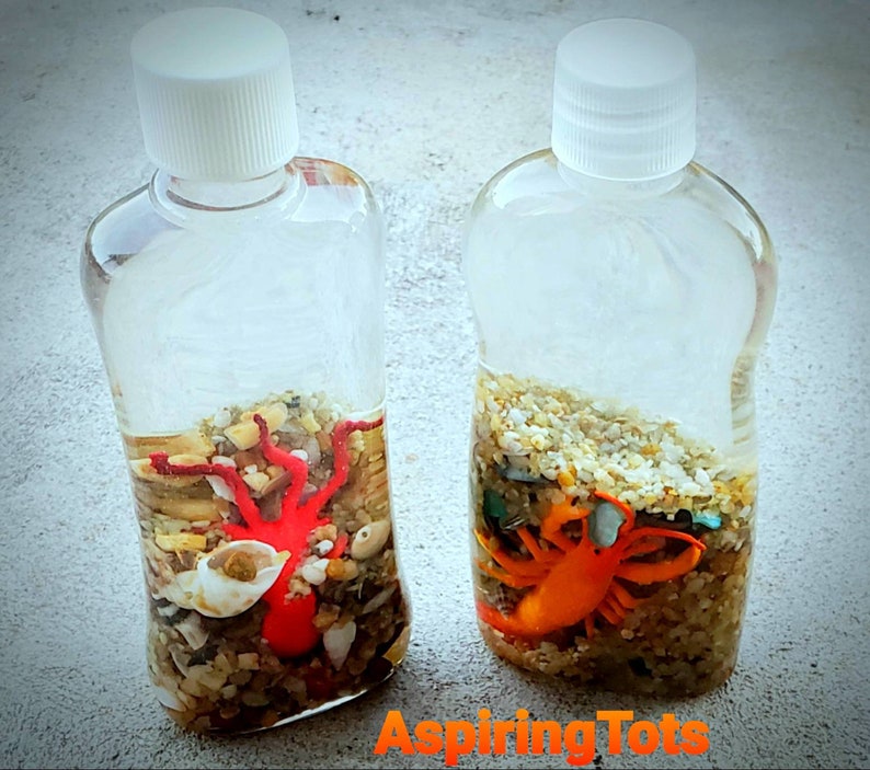 Small Ocean Sensory Bottle/ Under the Sea Quiet Time Redirect Calm ...