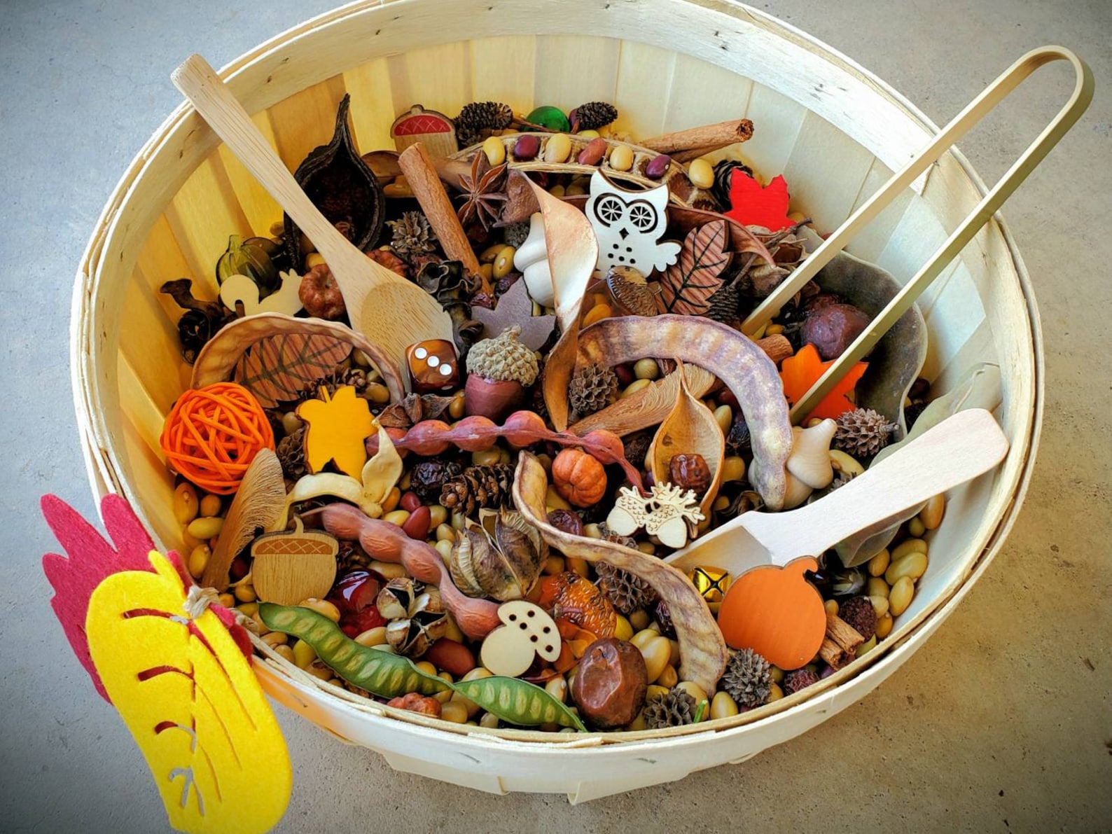 Large Fall Sensory Bin, Reggio Fall Loose Parts Play, Montessori ...
