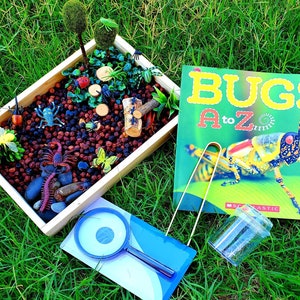 Garden Bugs Sensory Science Bin/ Bug Discovery Box/ Montessori Learning ...