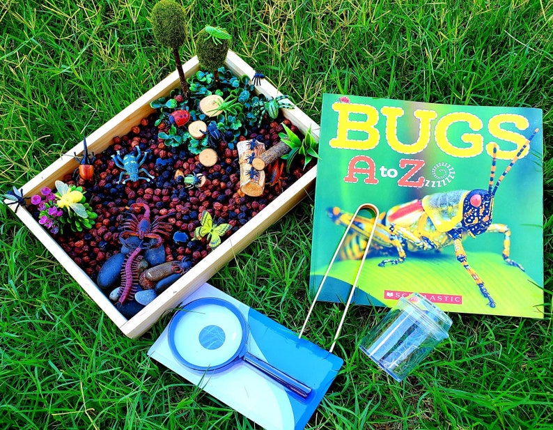 Garden Bugs Sensory Science Bin/ Bug Discovery Box/ Montessori | Etsy