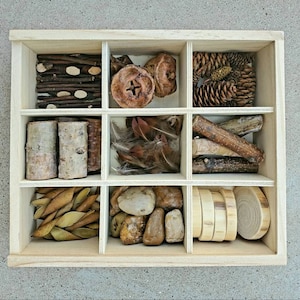 Reggio- Inspired Nature Loose Parts Tray #1/ Waldorf Natural Toy ...