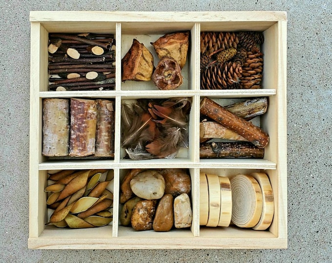 Reggio- Inspired Nature Loose Parts Tray #1/ Waldorf Natural Toy ...