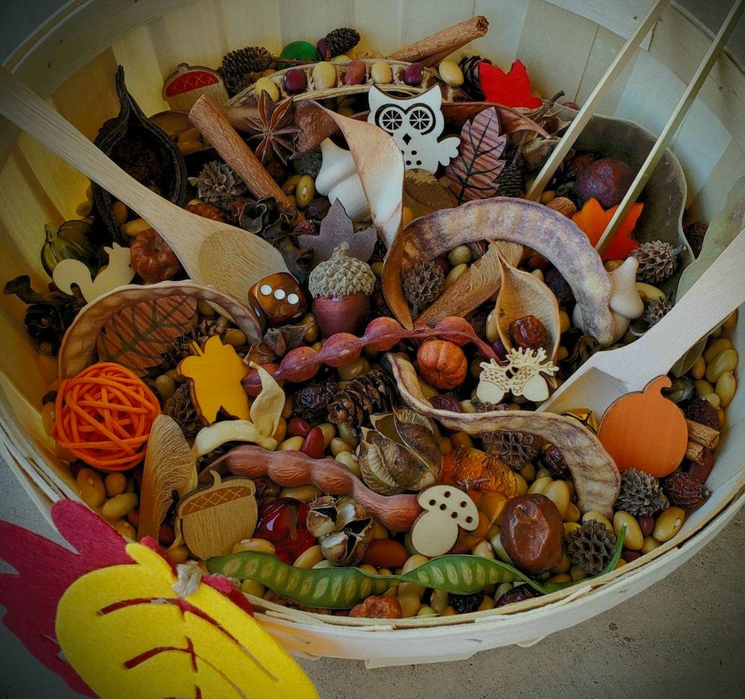 Large Fall Sensory Bin, Reggio Fall Loose Parts Play, Montessori ...