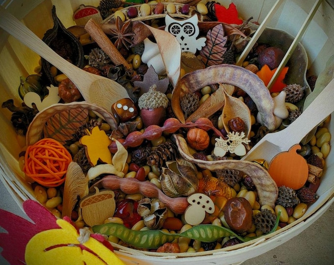 Large Fall Sensory Bin, Reggio Fall Loose Parts Play, Montessori ...