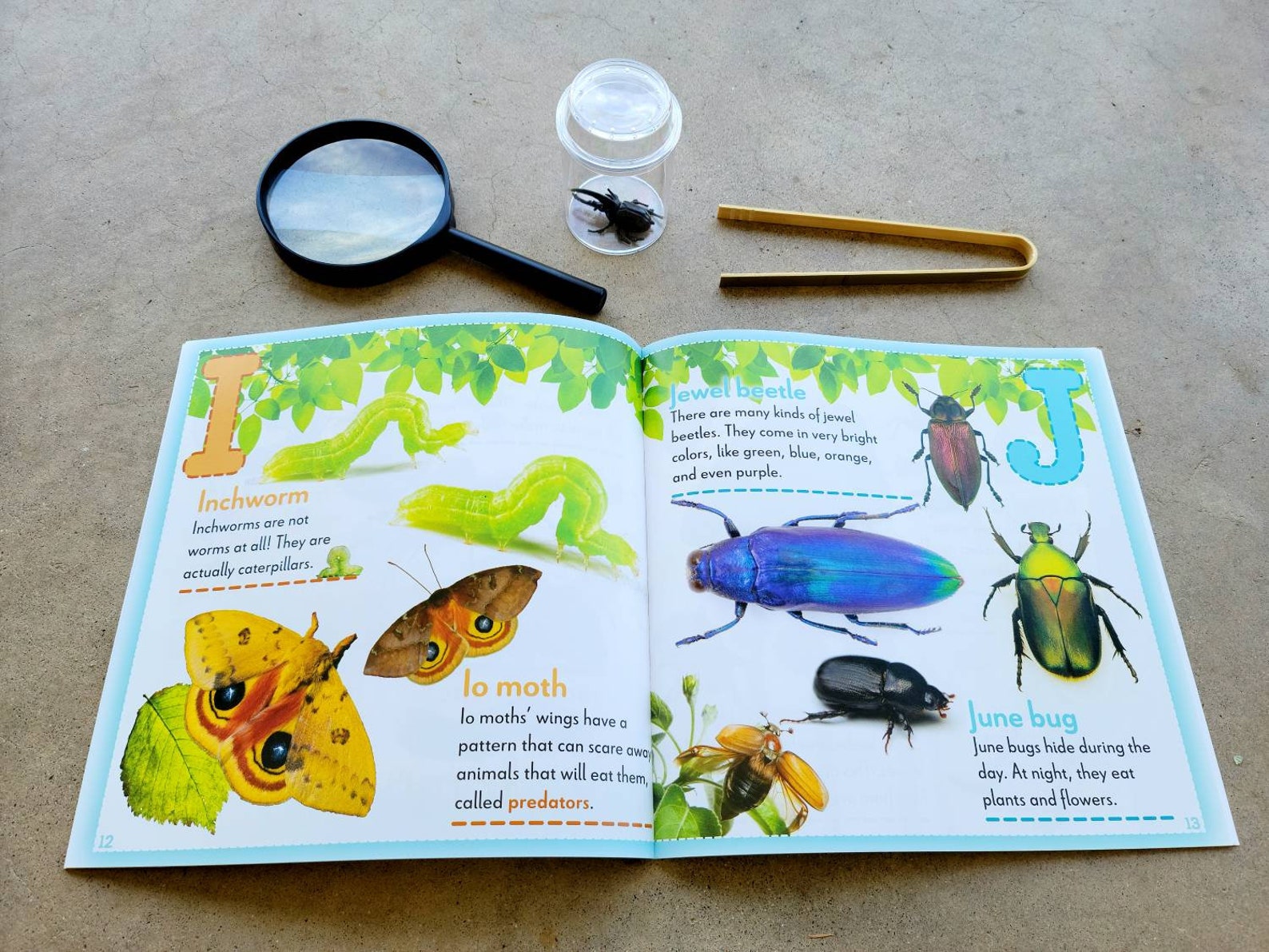 Garden Bugs Sensory Science Bin/ Bug Discovery Box/ Montessori | Etsy