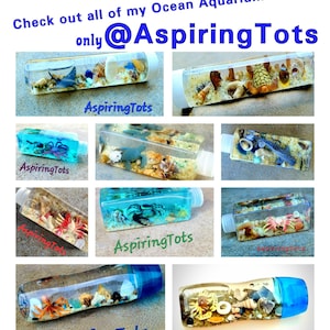 Small Ocean Sensory Bottle/ Under the Sea Quiet Time Redirect Calm ...