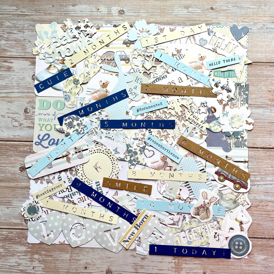 Baby Boy Junk Journal Kit, Journaling Embellishments for Newborn, Baby ...