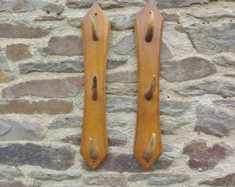 Trophy Deer Racks - Etsy