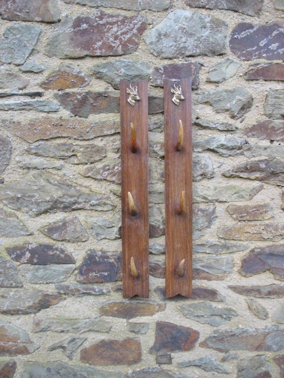 A Good Pair of French Taxidermy Hunting Trophy Deer Antler Gun Racks ...