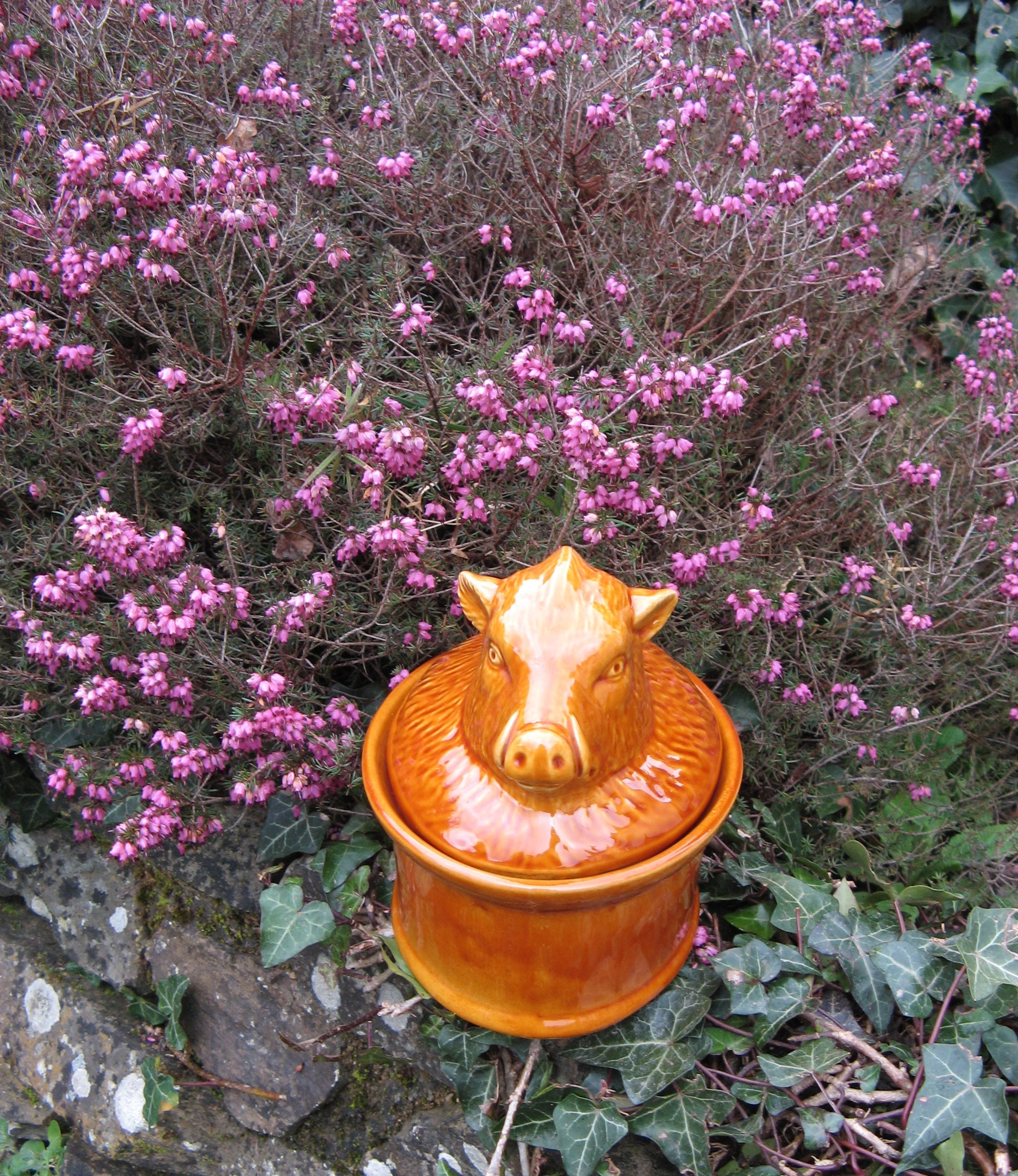 A Vintage French Wild Boar/Sanglier Terrine / Dish GEO | Etsy