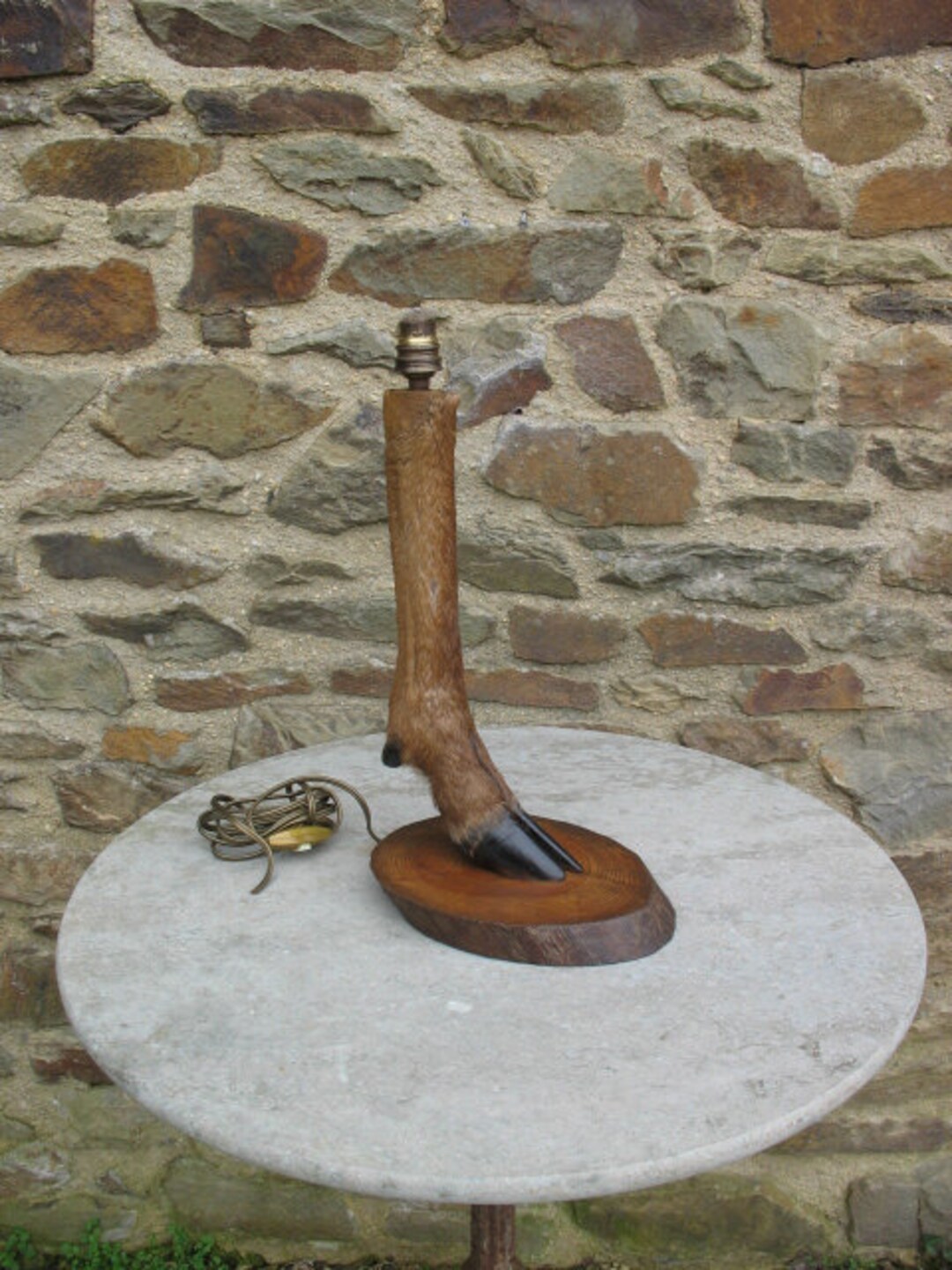 A Good Vintage French Taxidermy Hunting Trophy Deer Foot Table Light ...