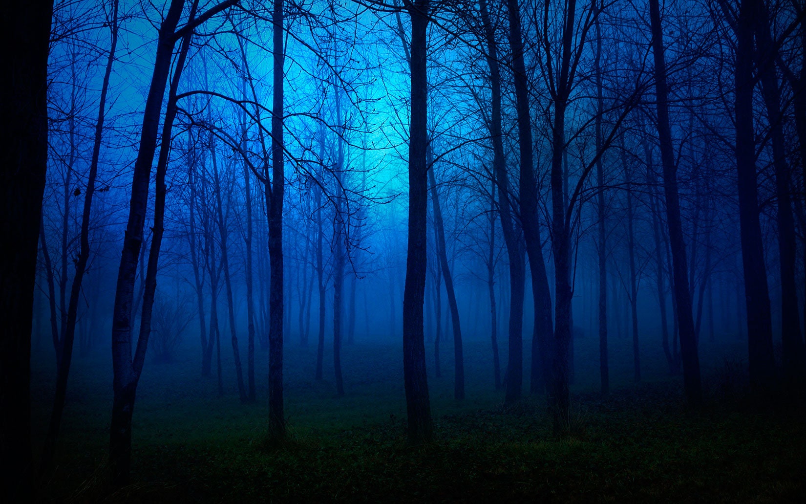 Deep Dark Blue Forest Trees Beautiful Blue Forest Canvas - Etsy